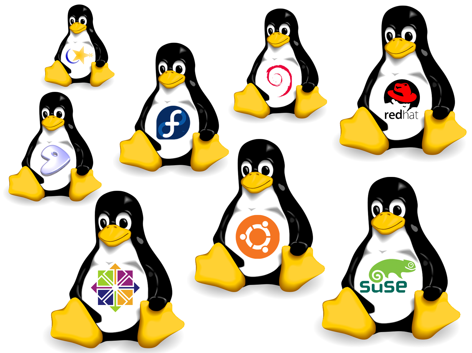 Cosa accade esattamente in Linux quando lanciamo un comando? - Desotech